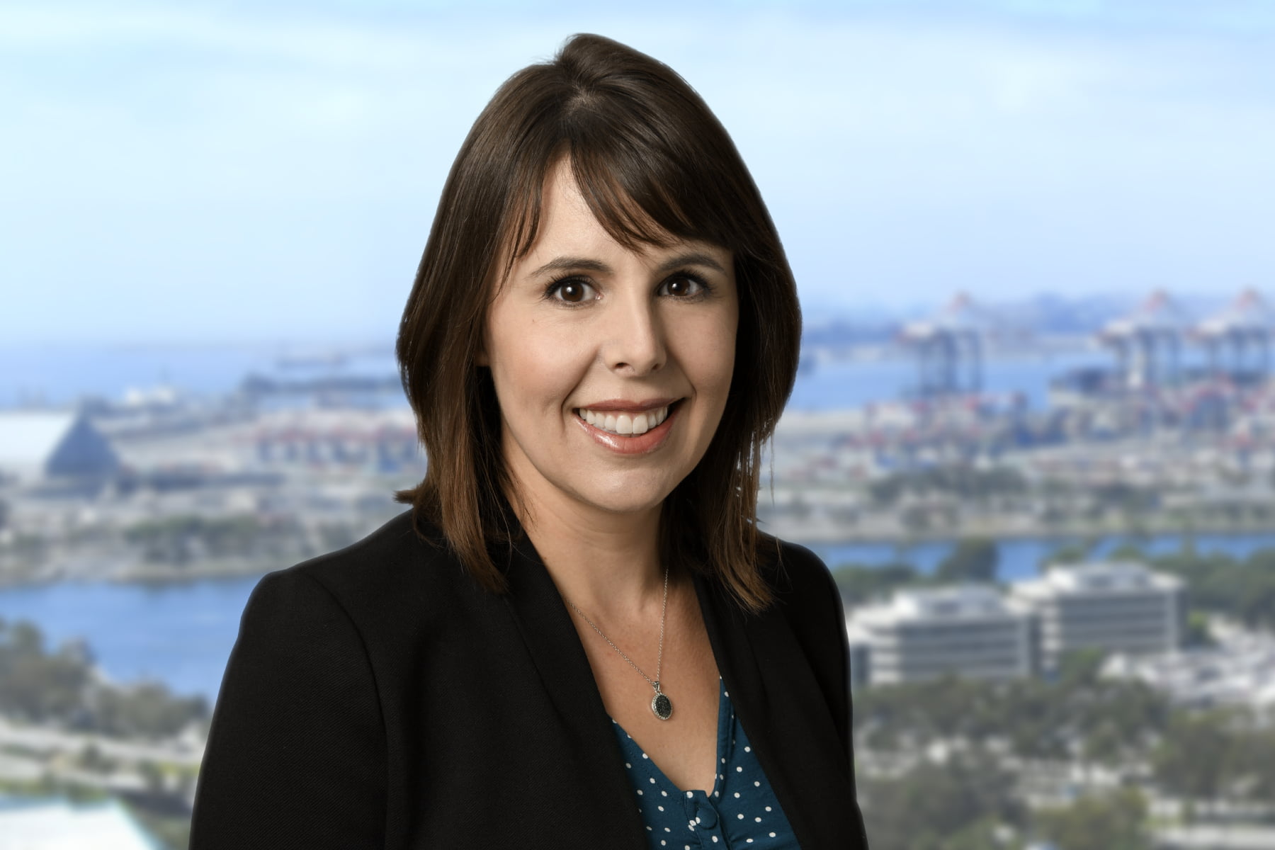 Lisa Carrick | Windes